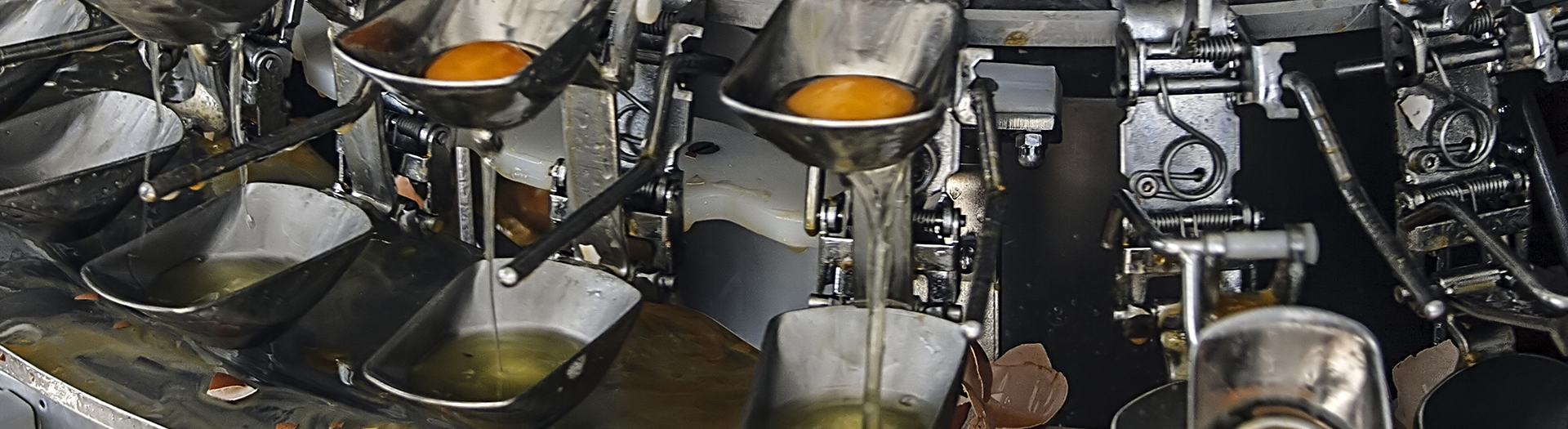 Egg separation process | Vaisala