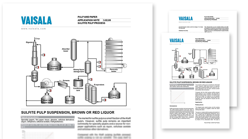 Kraft (Sulfate) Pulp Process | Vaisala