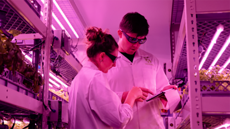 Fruit and Vegetable Storage | Vaisala