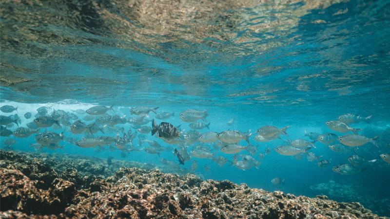 Industries et applications | Vaisala