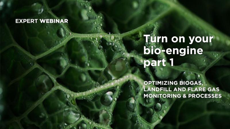 Turn on your bio-engine 1: optimizing biogas, landfill and flare gas ...