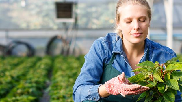 Agriculture and primary production | Vaisala