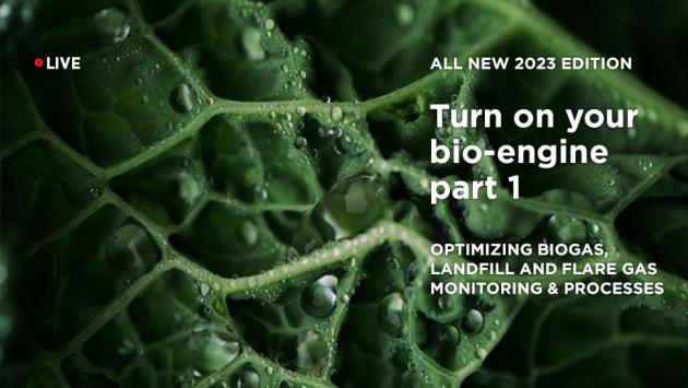 Turn on your bio-engine 1: optimizing biogas, landfill and flare gas ...