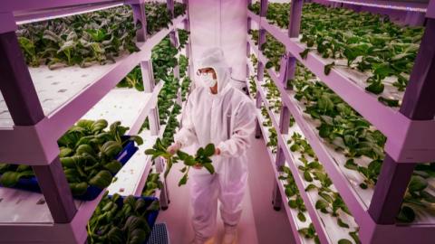 Agriculture and primary production | Vaisala