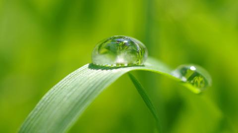 Humidity control in museums, archives and libraries | Vaisala